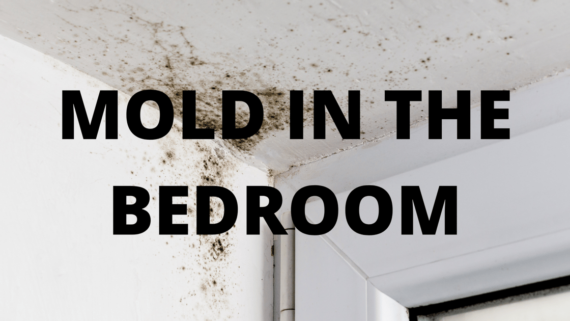 Mold in the Bedroom