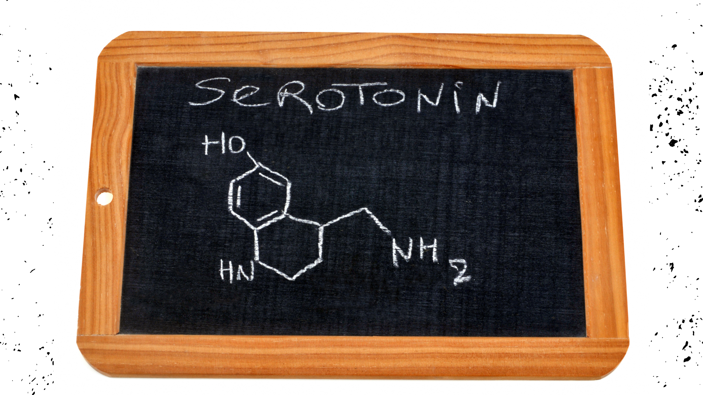 Serotonin’s Role in Sleep: The Brain’s Nighttime Messenger
