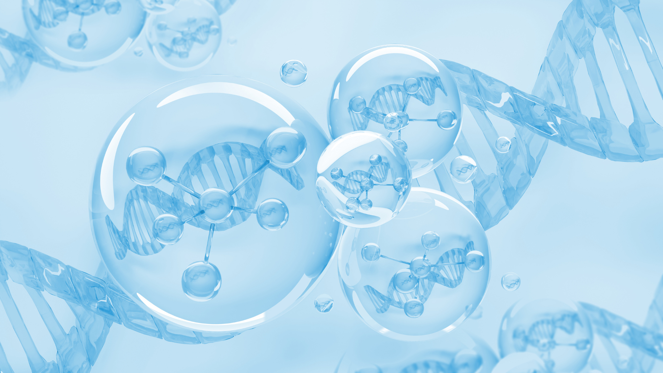 What Sleep Does at the Cellular Level: The Science Behind Rest and Recovery